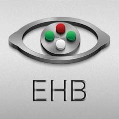 The Eye Handbook Mobile Application - Ophthalmology Business Minute